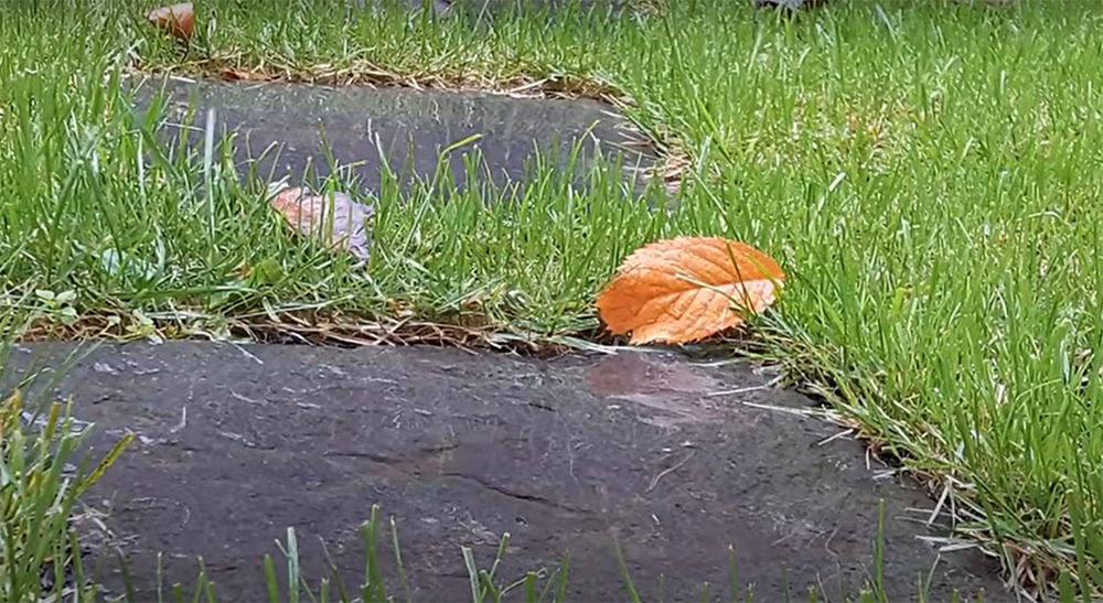 What Temperature is Sweater Weather? - WeatherStationPro